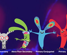Thermo | LK Bioscience