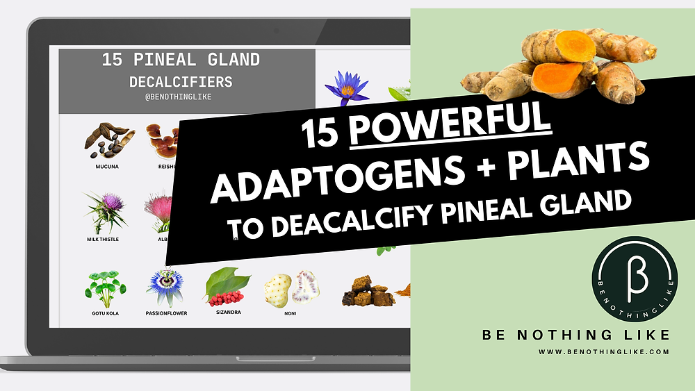 pineal gland decalcification methods