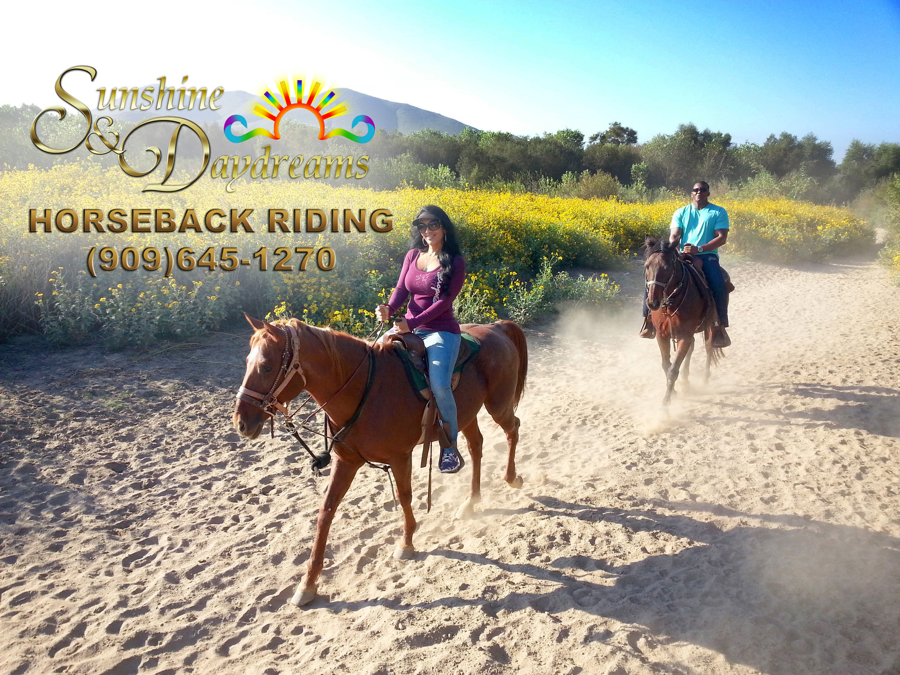 S&D Horseback Riding │ Norco CA