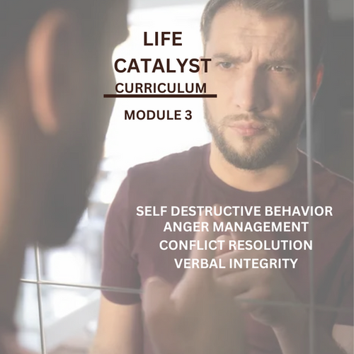 Module 3 Anger Management, Self-Destructive Behavior | lifecatalystnola