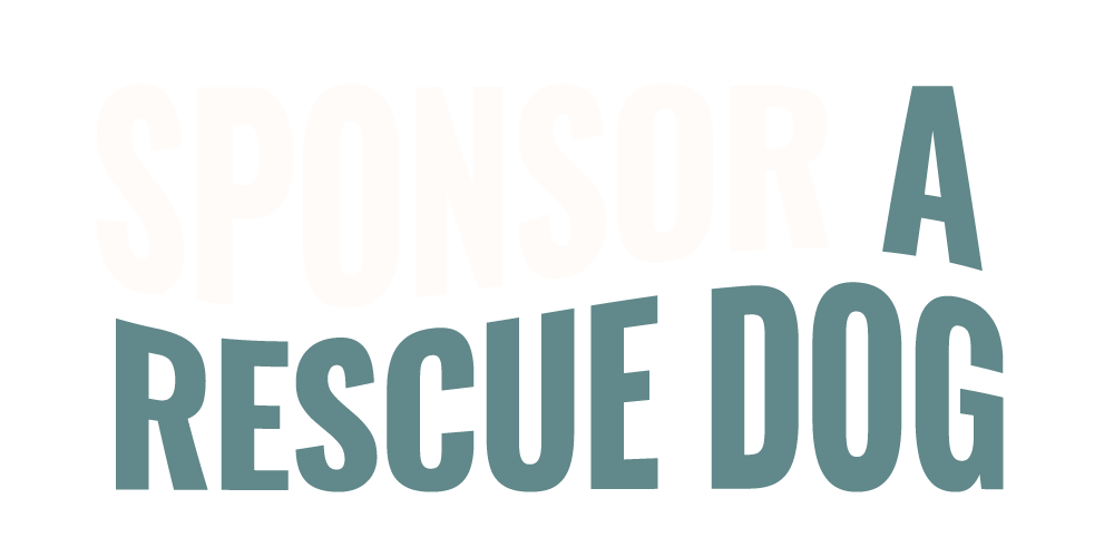 ADOPT | Homeward Bound Animal Rescue of WI