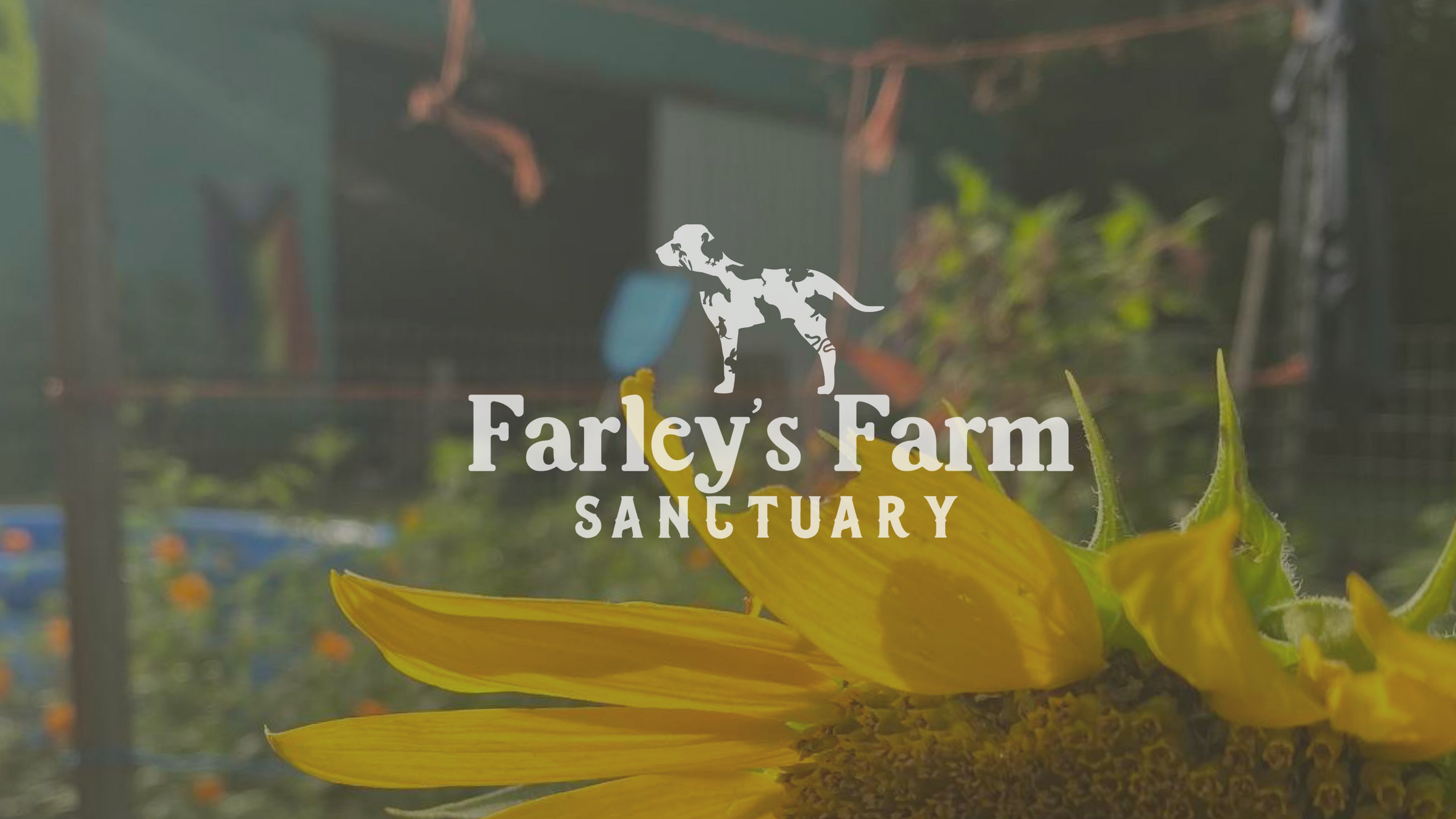 About Us | Farleys Farm Sanctua