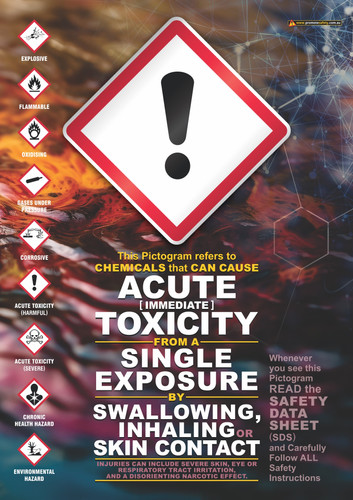 GHS Acute Toxicity Pictogram Safety Posters | Promote Safety