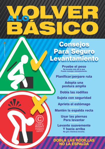 Back to Basics Safety Posters [Spanish] | Promote Safety