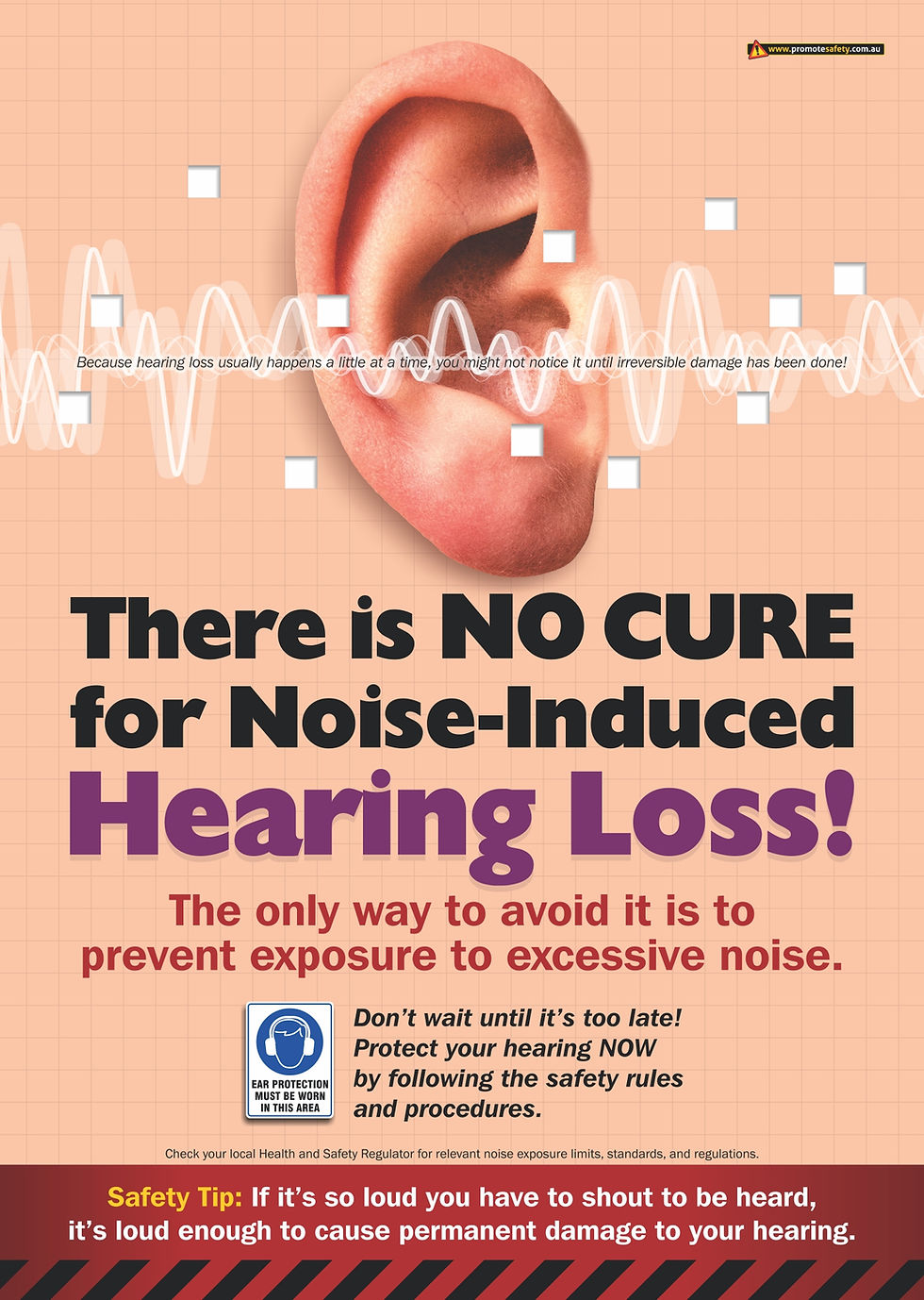 No Cure Hearing Loss Safety Posters | Promote Safety