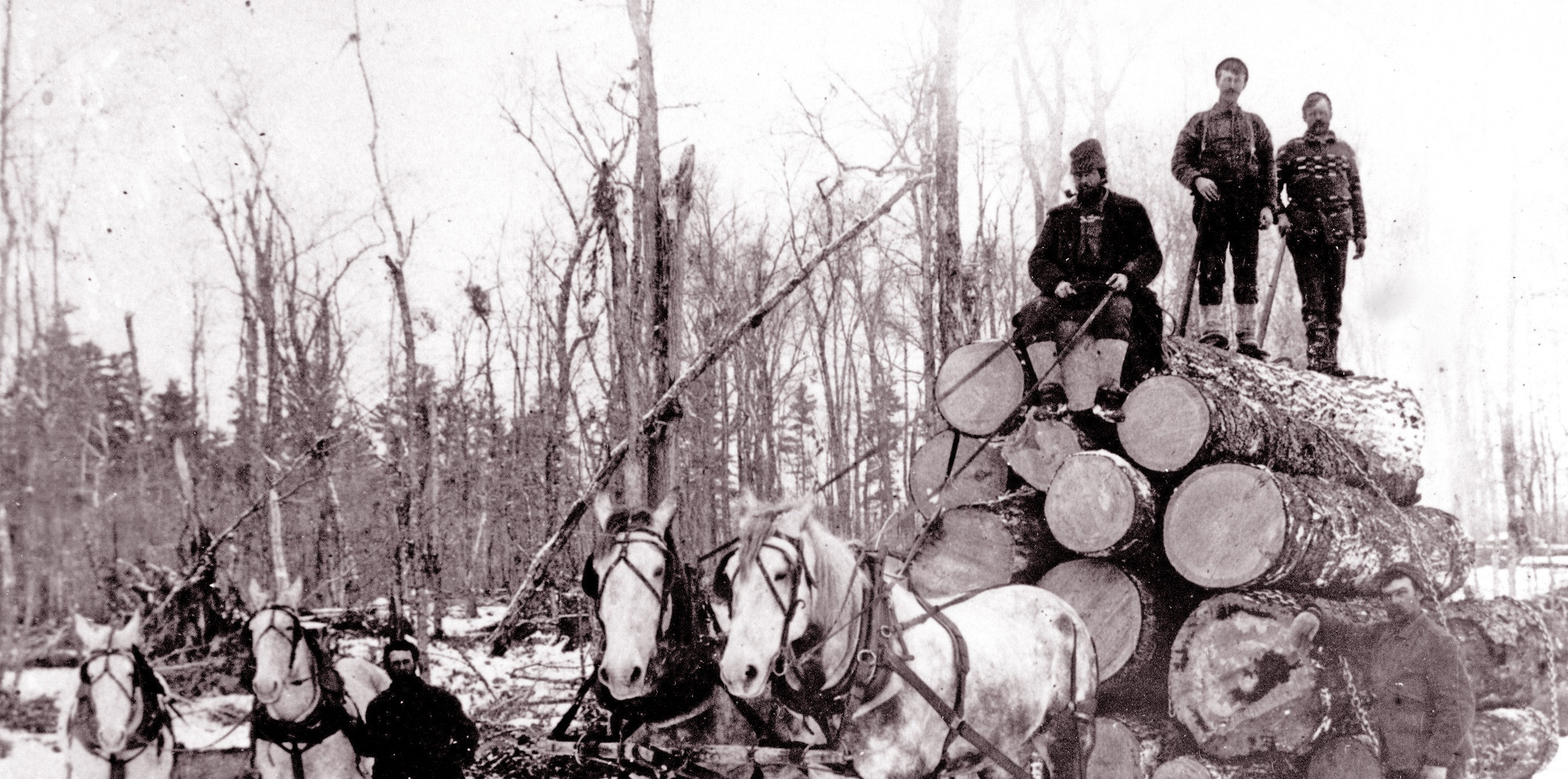 Knapp Stout and Co. Company