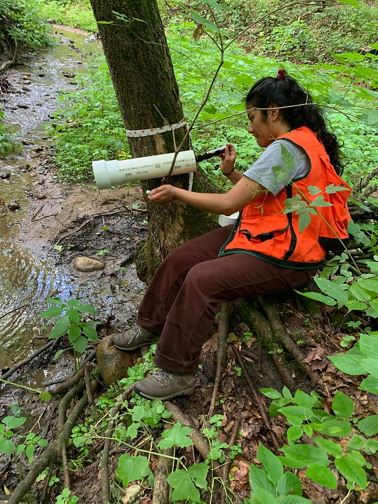 Angie Ayala: Week 4 Recap