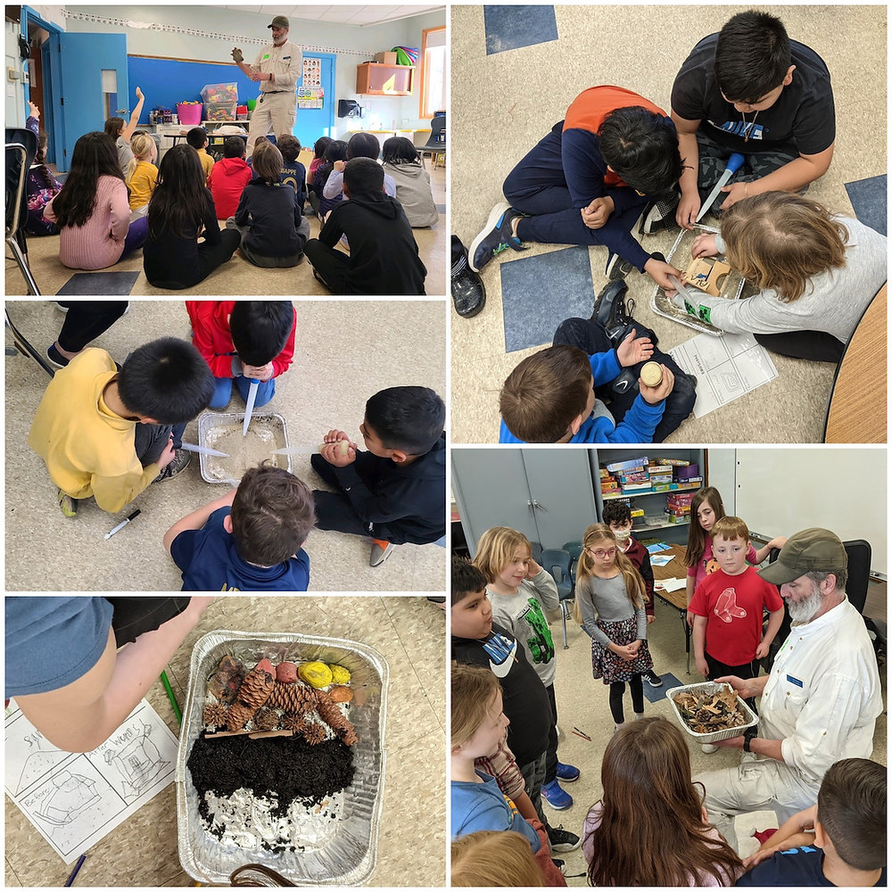 Drumlin Farm CAS Program for 2nd graders!