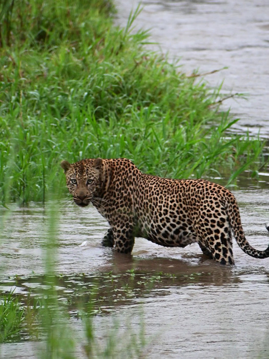 Dulini River | Dulini