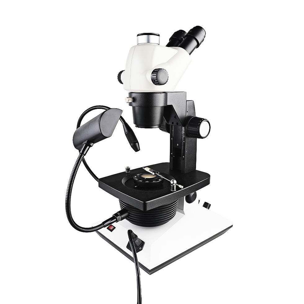 DK57003-171 Arm Type Gem Microscope | DIKAI TOOLS