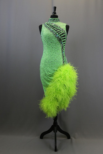 NL-1663 | Artistry in Motion