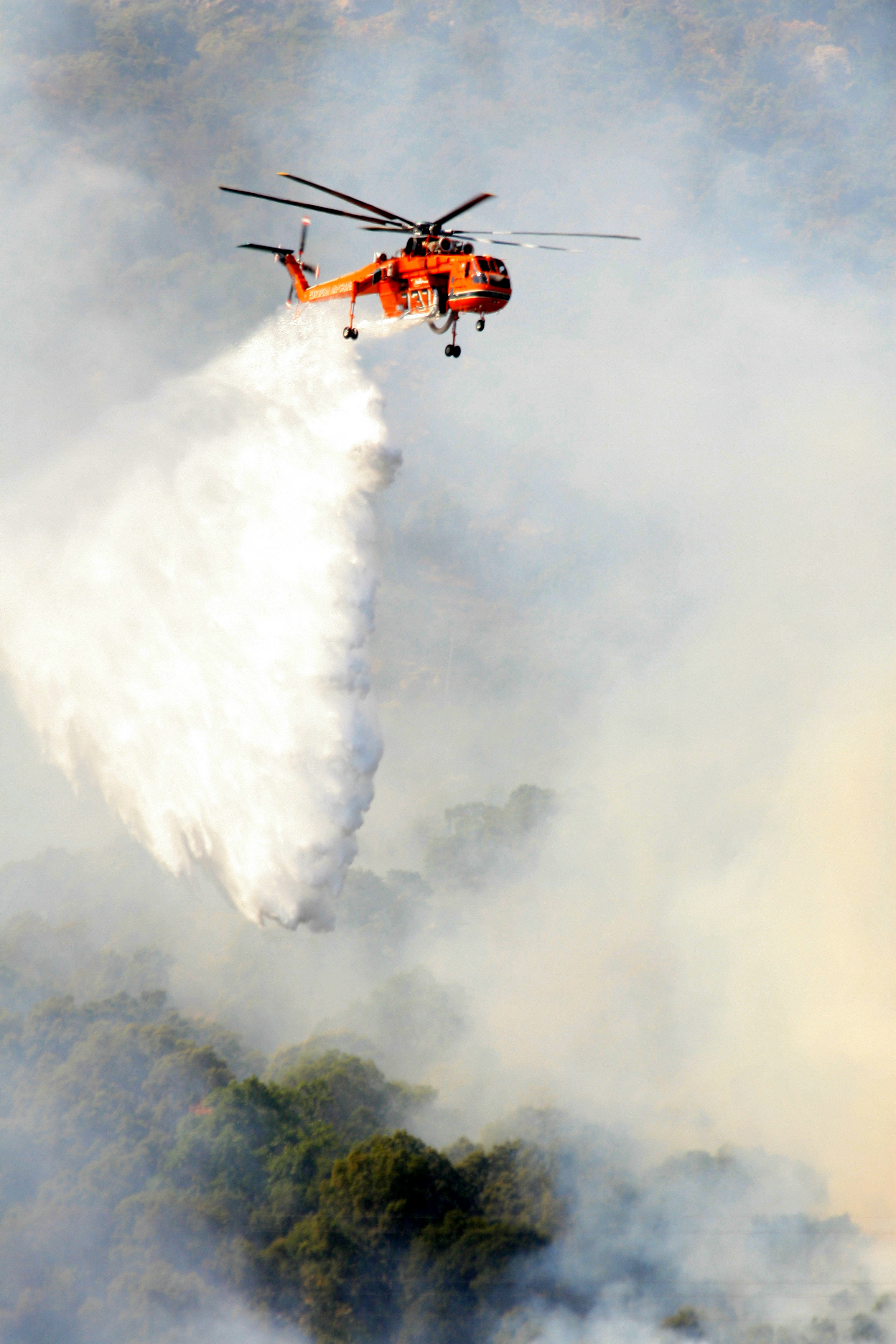 Gallery | BLAZETAMER380