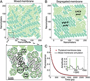 Publications | Mesoscience Lab