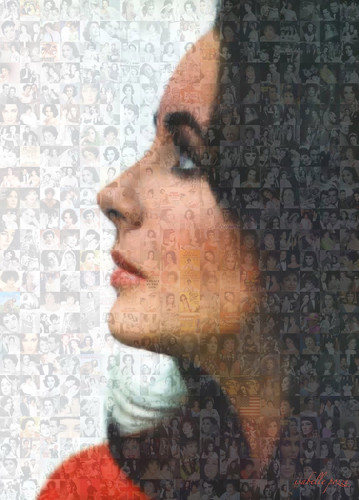 Elizabeth Taylor - Color | isabellepozzinew