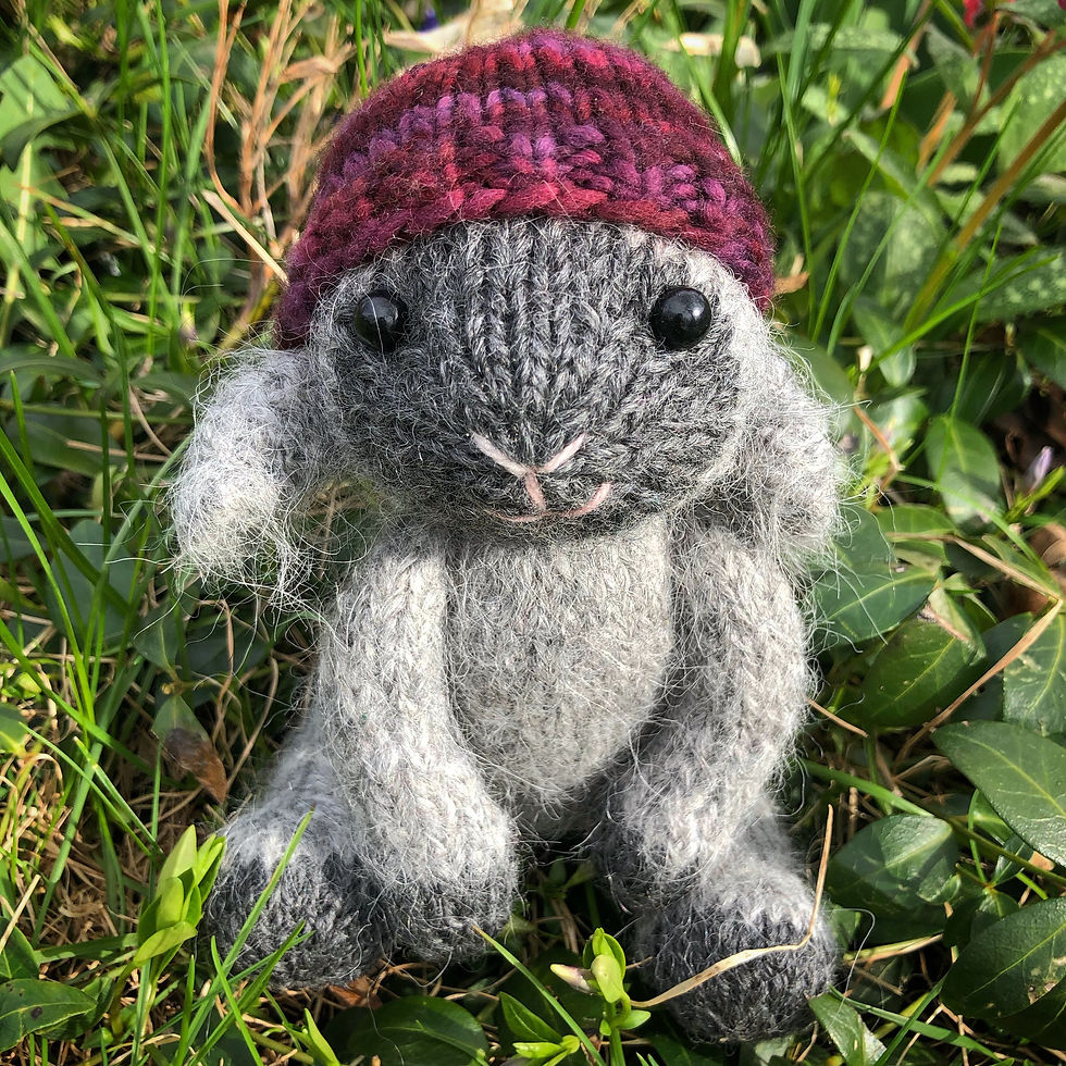 Home | Fuzzy Mitten | Toy Knitting Patterns