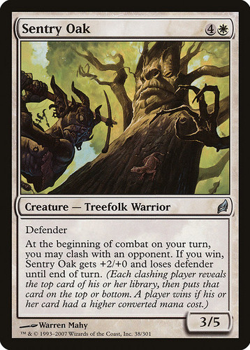 Sentry Oak | Aravasta