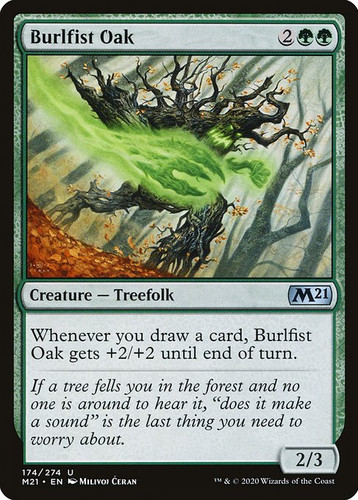 Burlfist Oak | Aravasta