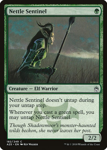 Nettle Sentinel | Aravasta