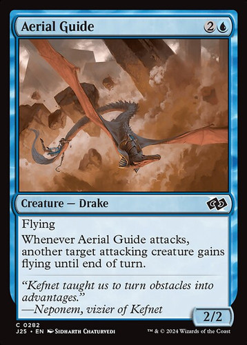 Aerial Guide | Aravasta