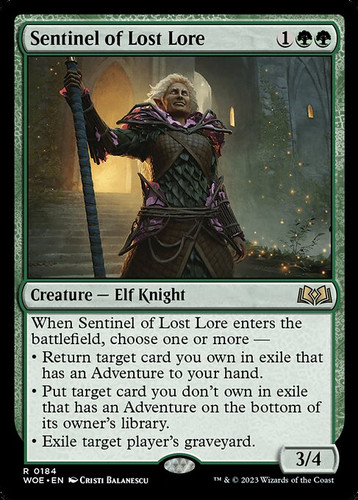 Sentinel of Lost Lore | Aravasta