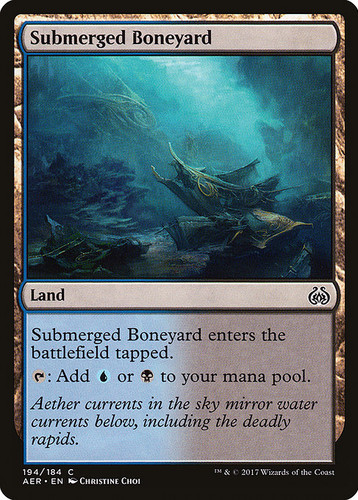 Submerged Boneyard (Planeswalker Deck) | Aravasta