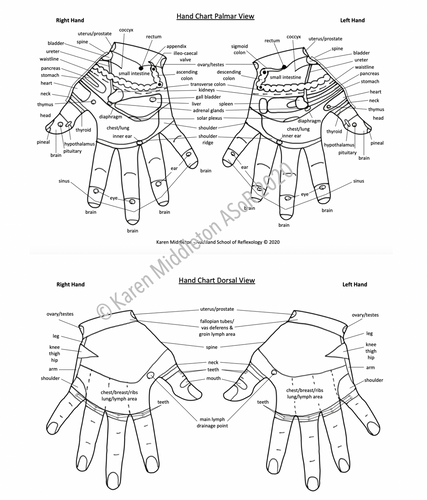 Hand Reflexology Chart Both Views | ASoR