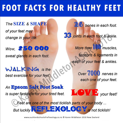 Foot Facts for Healthy Feet | ASoR
