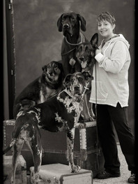 Home | Dog Day Portraits by Matt Mendelsohn