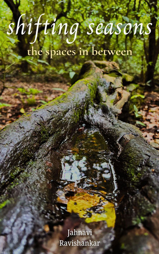 Shifting seasons: The spaces in between | BookLeaf eBooks