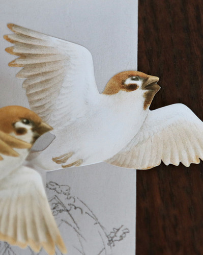 Set of 3 Pop-Up Birds Greeting Card - S | two persimmons