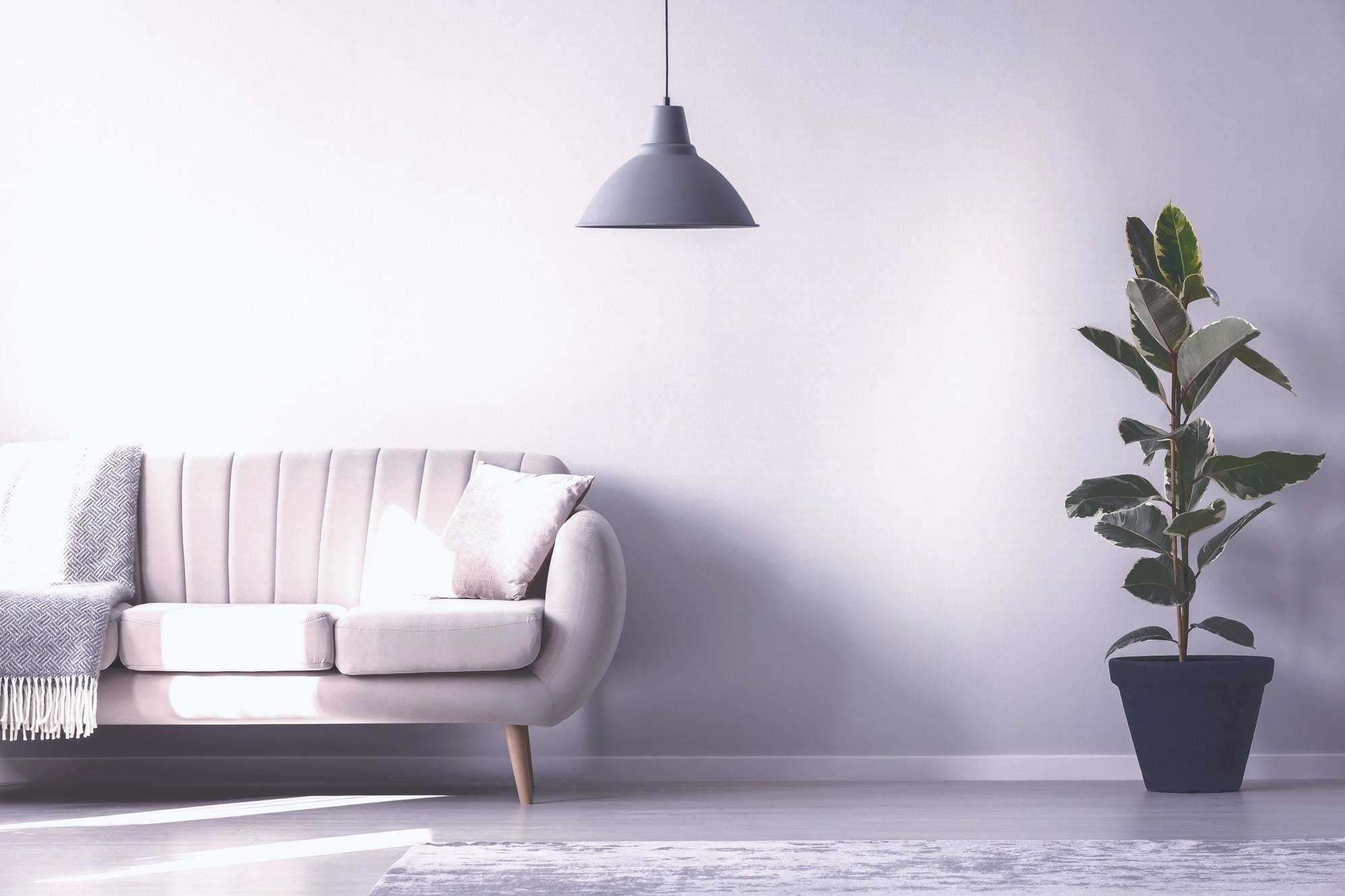 Contact Beyond Therapy