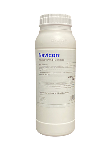 BASF Navicon Intrinsic Brand | pendelton