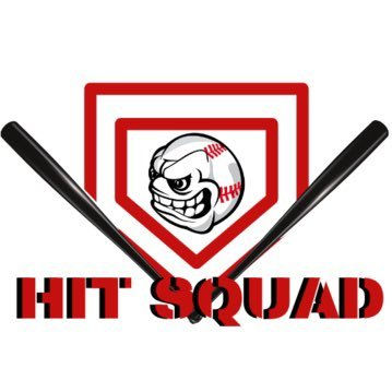 Tampa Elite Hit Squad on Travel and Rec Baseball
