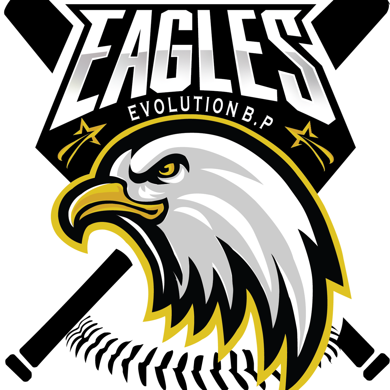 Eagles Evolution on Travel and Rec Baseball