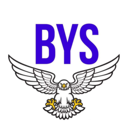 Bronson Youth Sports on Travel and Rec Baseball