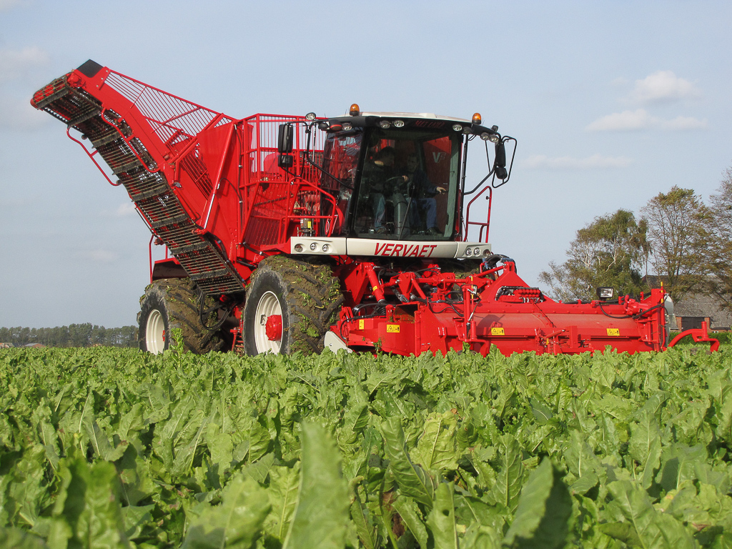 AgriTotal | Vervaet Beet Eater 617