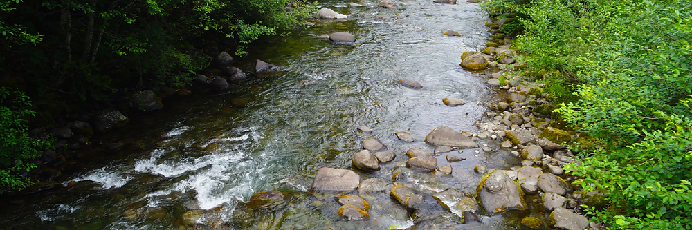 WHAT IS A WATERSHED AND WHY IS IT IMPORTANT?