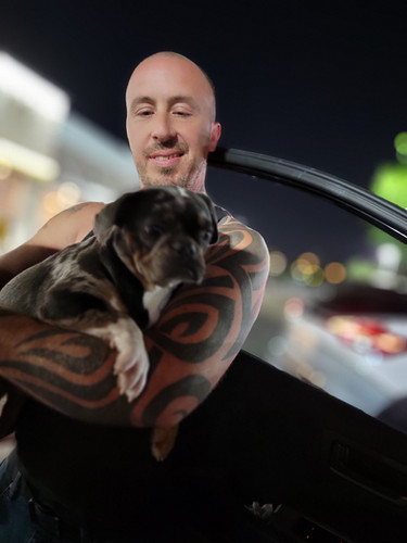 Kai-French Bulldog (1236) | Housebreeders