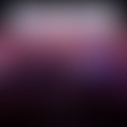 Music Lives - A look back at the career of Alan Rose