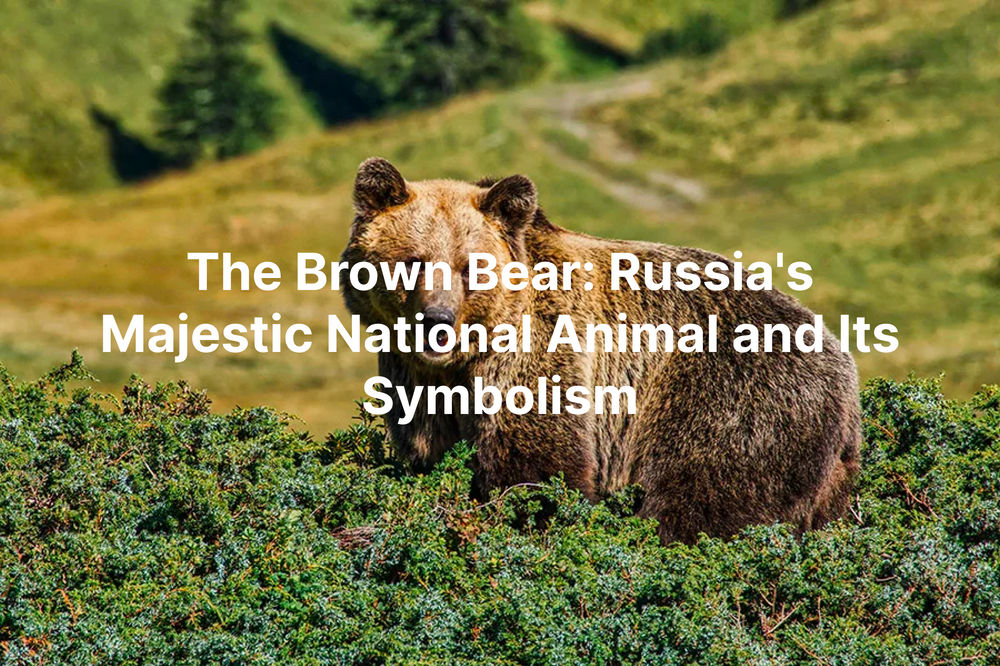 The Brown Bear: Russia's Majestic National Animal and Its Symbolism ...