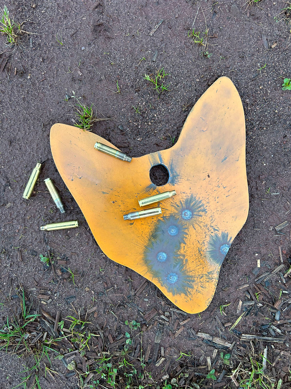 Fox Targets | The Steel Target Company