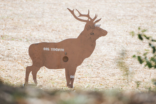 Red Stag Steel Target | Hardox500 | The Steel Target Company