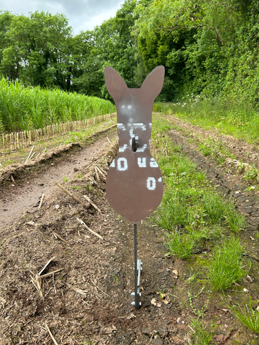 Floating Roe Deer & Stake (L) Combo | The Steel Target Co