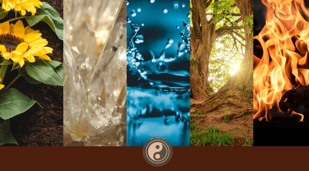 Five Element Qigong | Path with Harmony