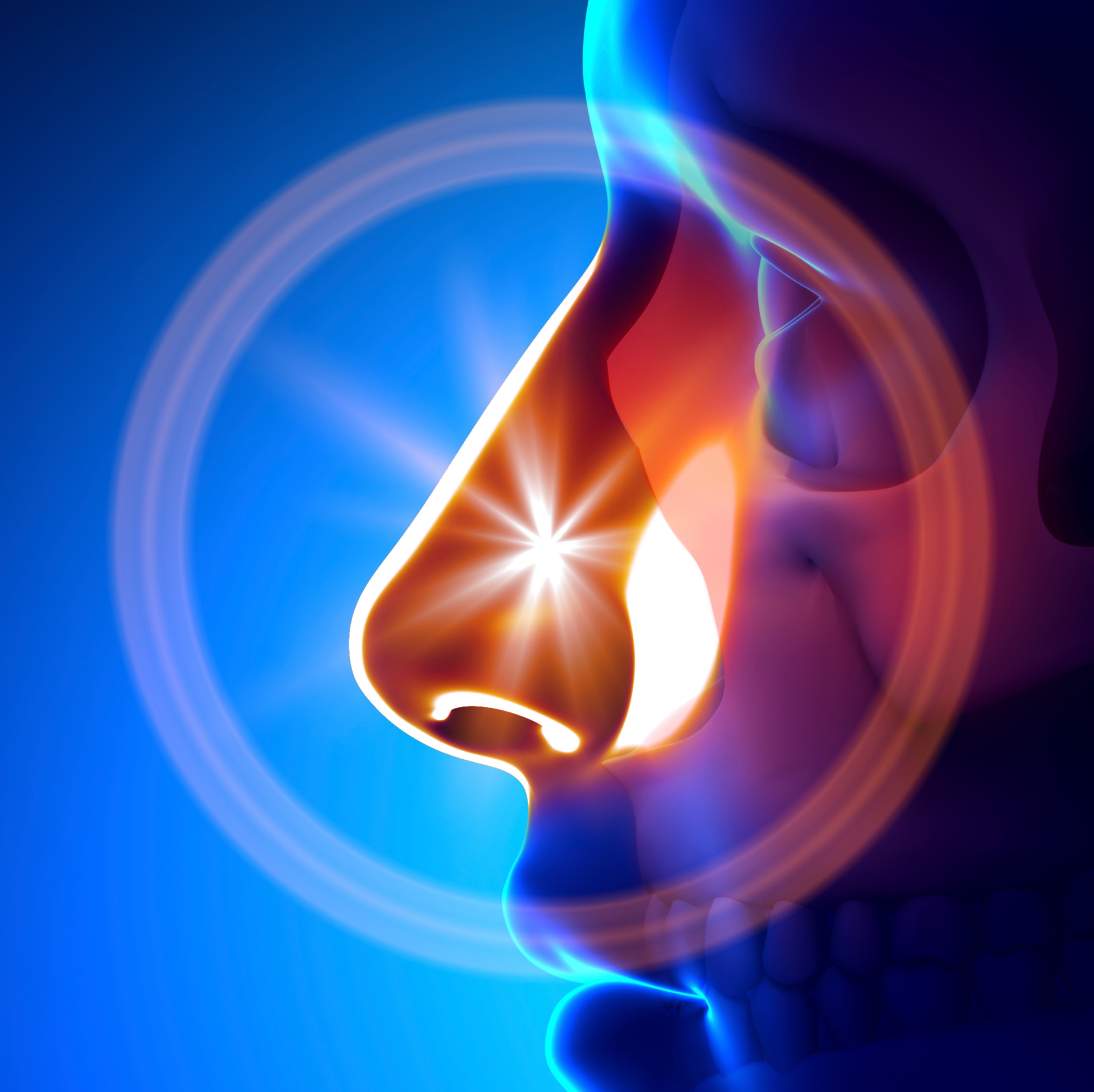 Balloon Sinus Dilation | Western Carolina Ear, Nose, and Throat Specialists