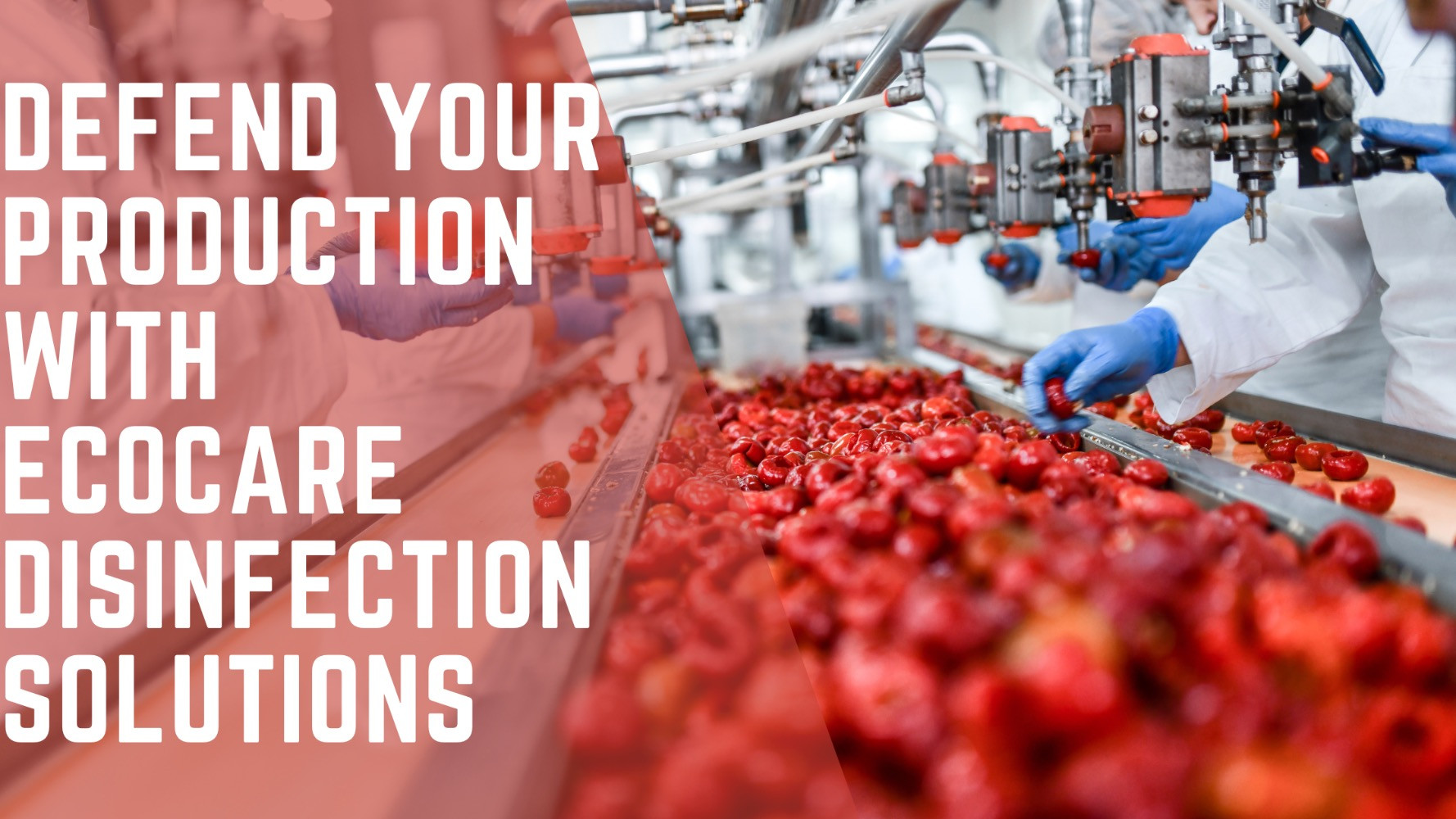 Food Grade Cleaning Chemicals Ecocare food-grade-cleaning-chemicals-ecocare