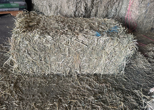 Alfalfa 2 String Bale | Sportsman Feed