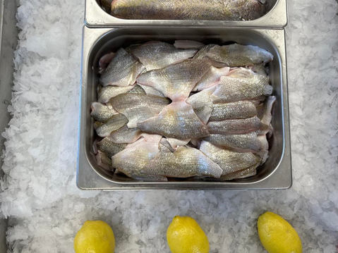 Retail | Taylor Fish Company