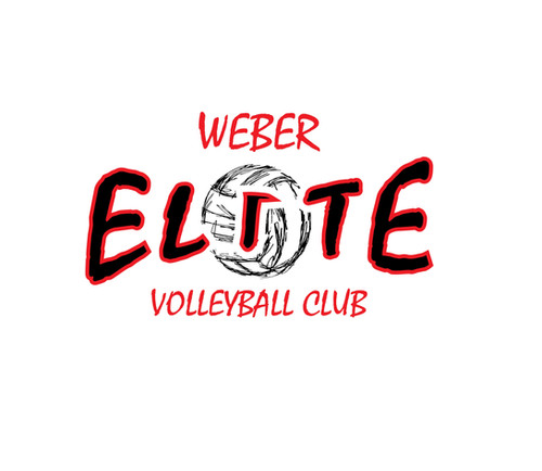 17u Team (Angie) | Weber Elite V-Ball