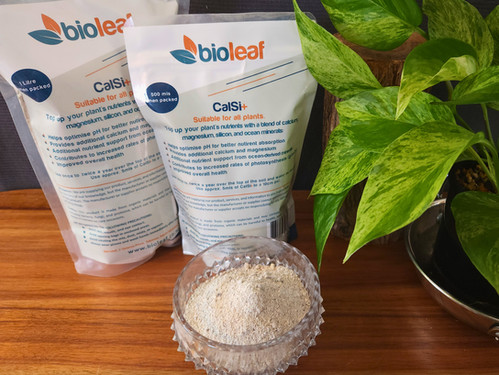CalSi+ 500mls | bio leaf